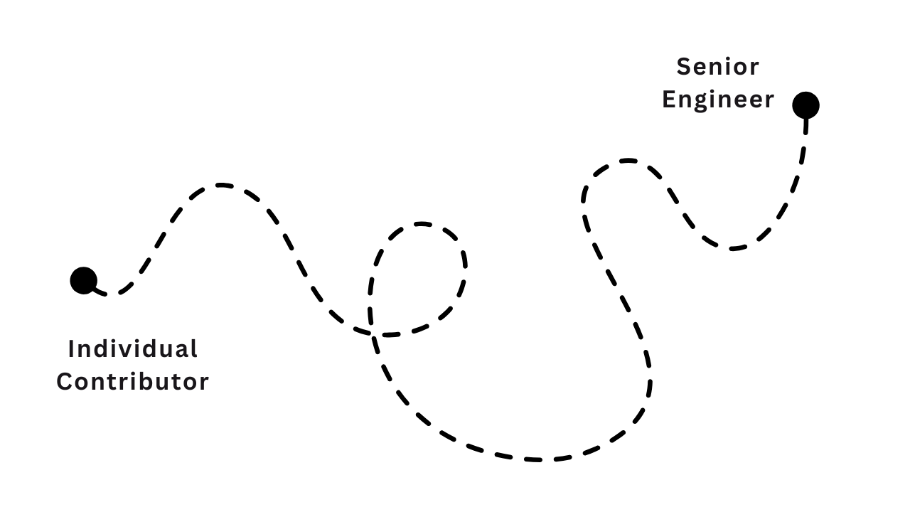 How to practically choose a technical vs management career path?