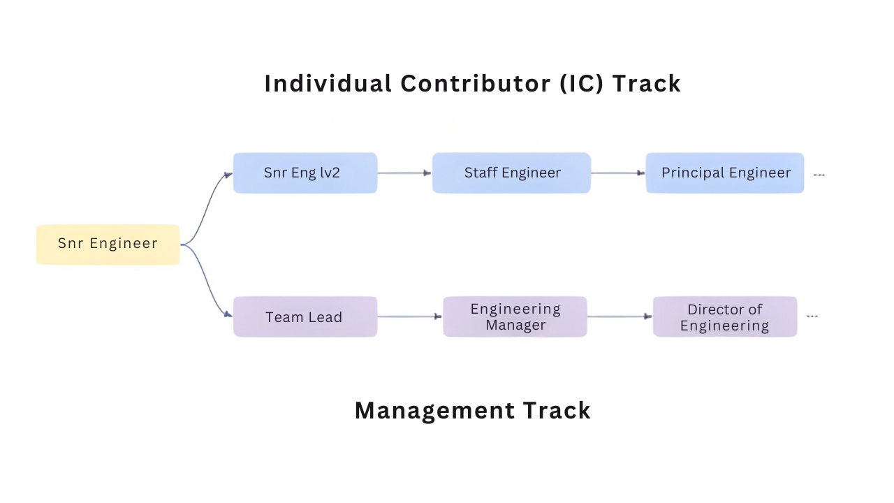 How to practically choose a technical vs management career path?